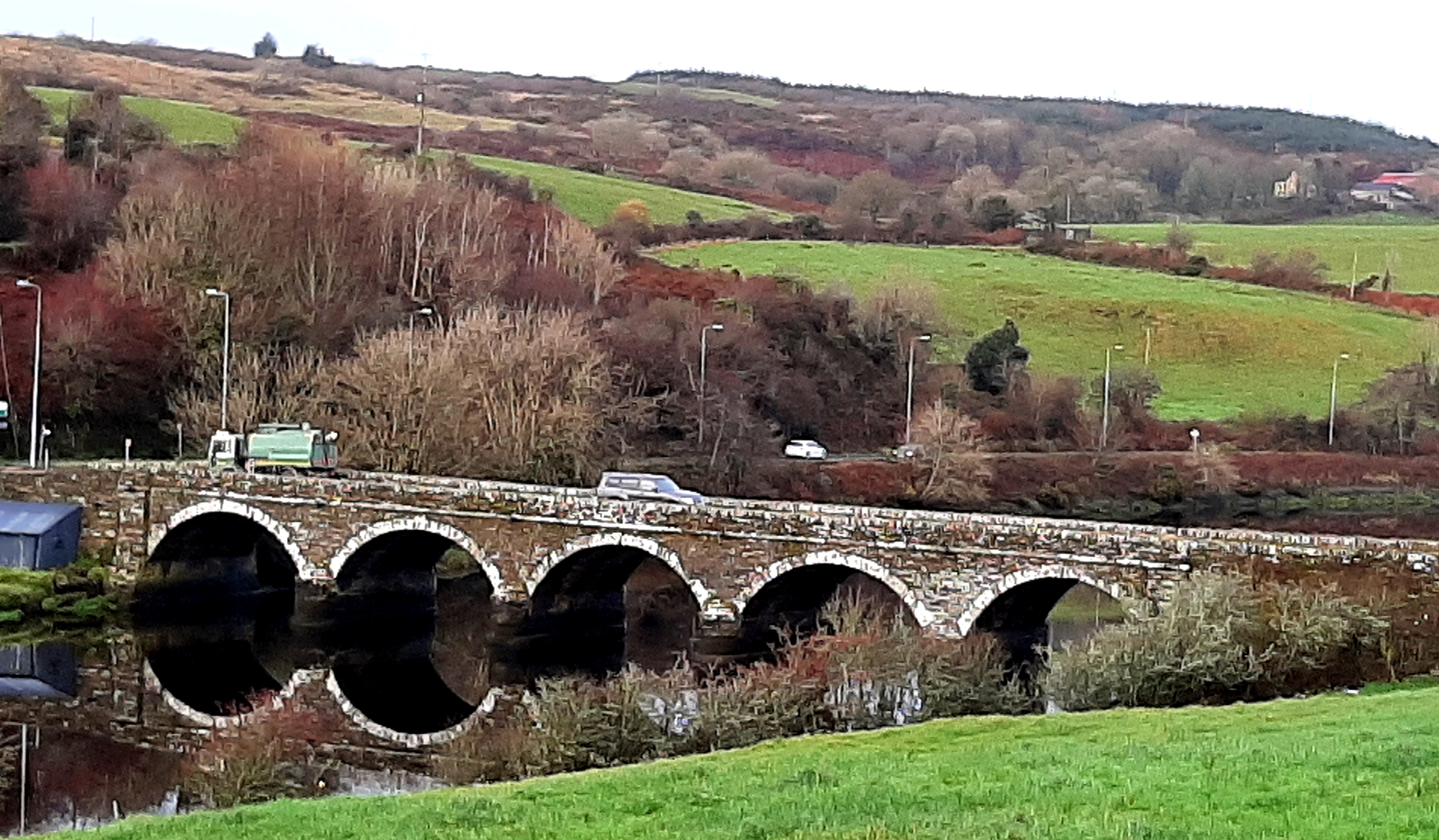 BRACKEN IN THE IRISH LANDSCAPE – agoyvaerts