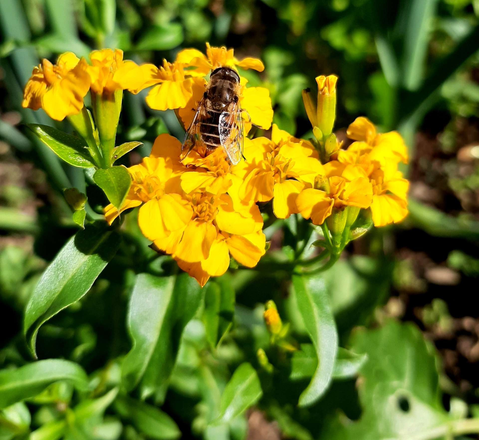 LATE SUMMER COLOURS – agoyvaerts