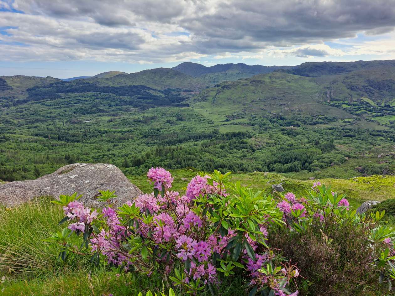 JOURNEY THOUGH THE CAHA MOUNTAINS – agoyvaerts